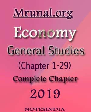 Mrunal - Economy For General Studies - Printed Notes 2019 - Notesindia