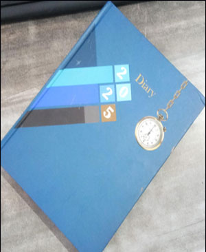 Executive Style Hard Bound Diary 2025 with Sunday Half Pages Regular Diary